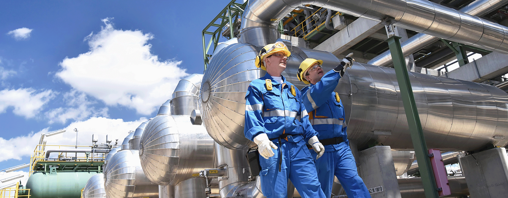 Oil Extraction Processing Sector - Densit