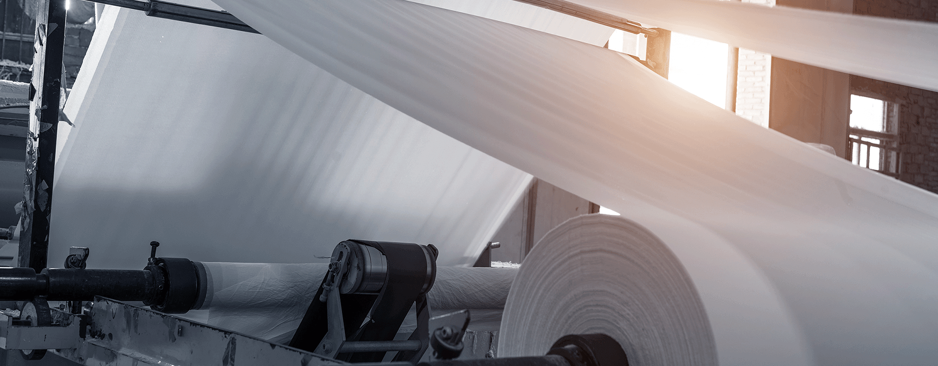 Paper Sector - Densit